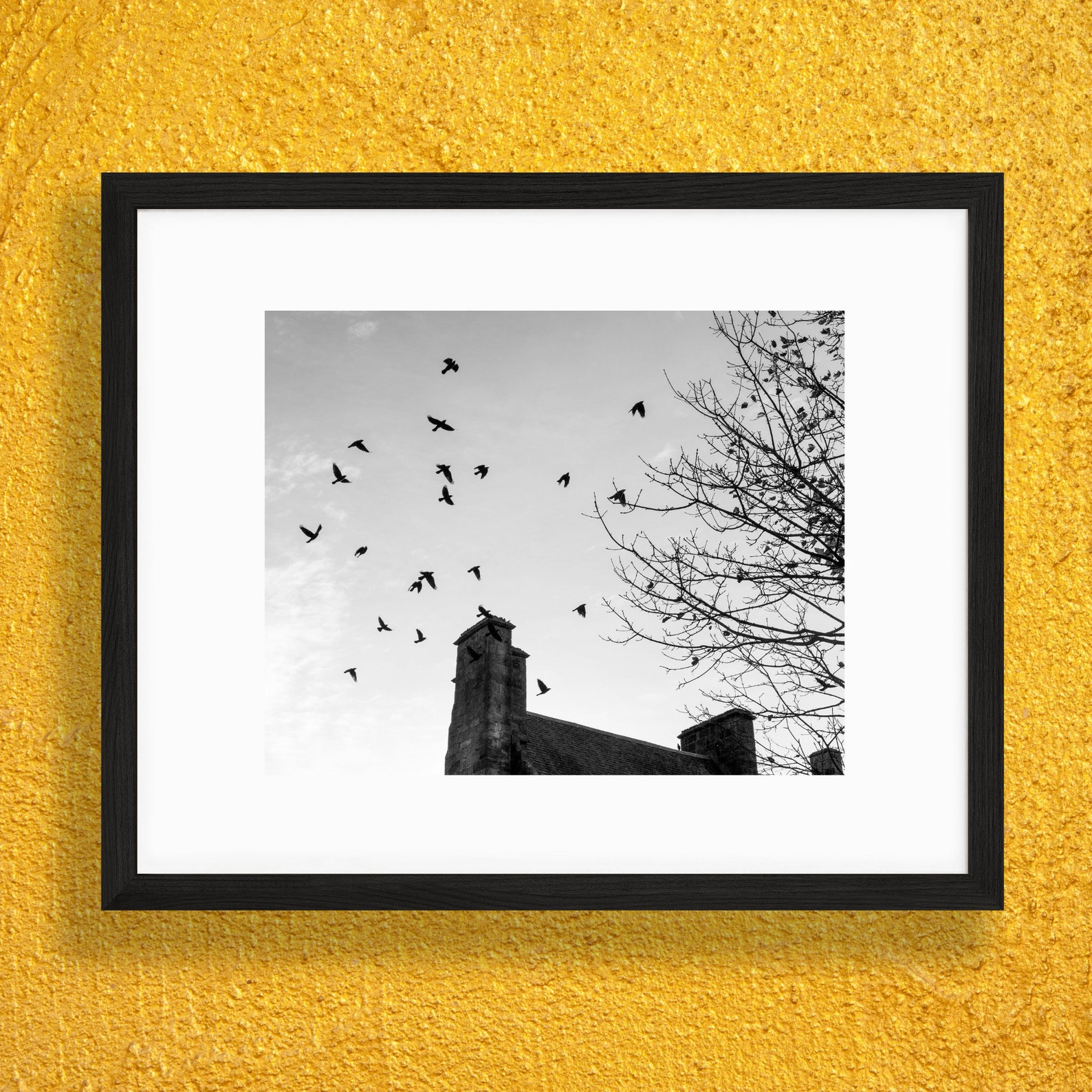 Rosslyn Castle Print Bird Photography Scotland Wall Art - Etsy