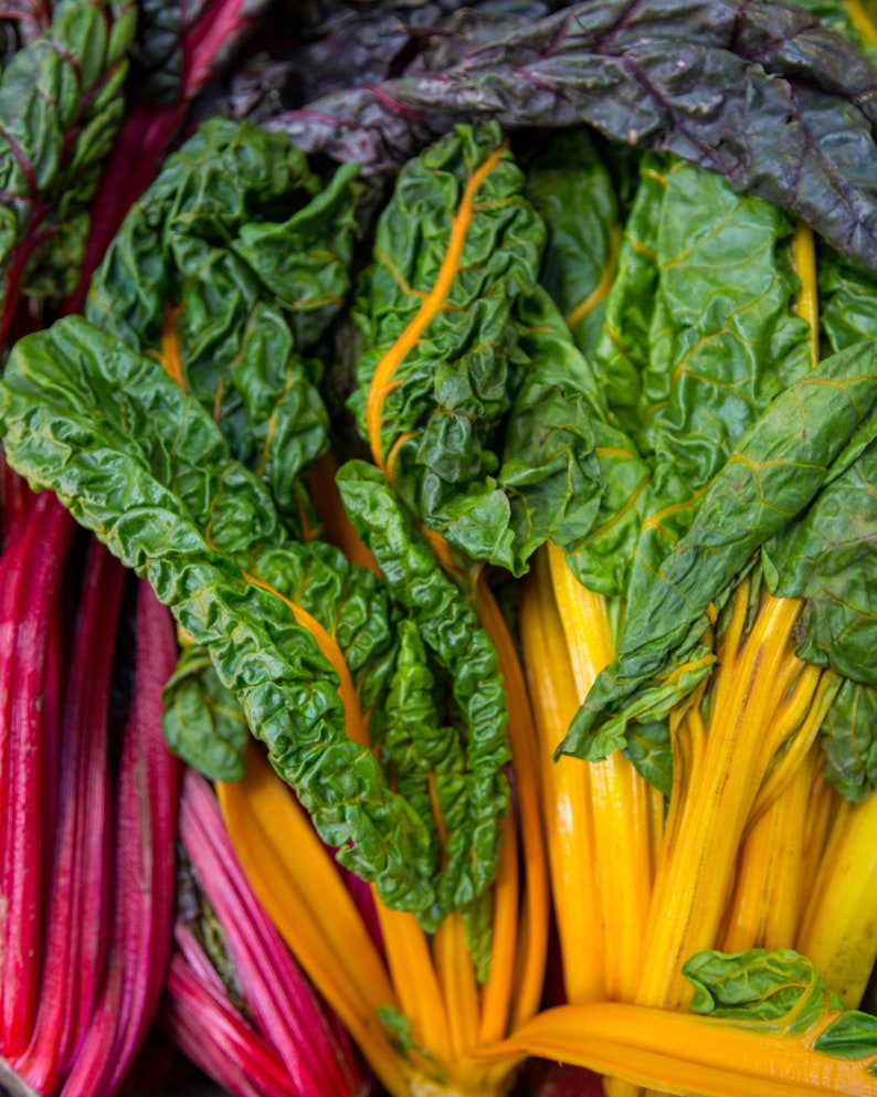 Rainbow Swiss Chard Print Food Photography Kitchen Wall Art - Etsy