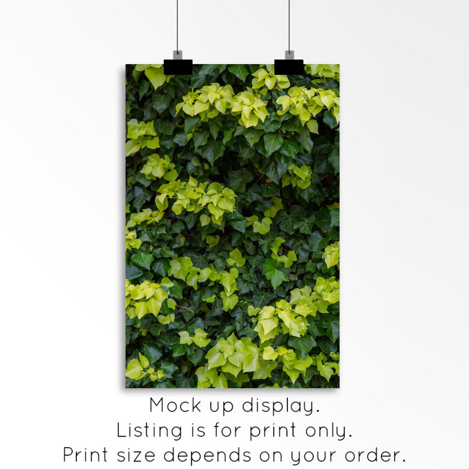 Green Leaves - Nature Print - Nature Photography - Texture - Etsy