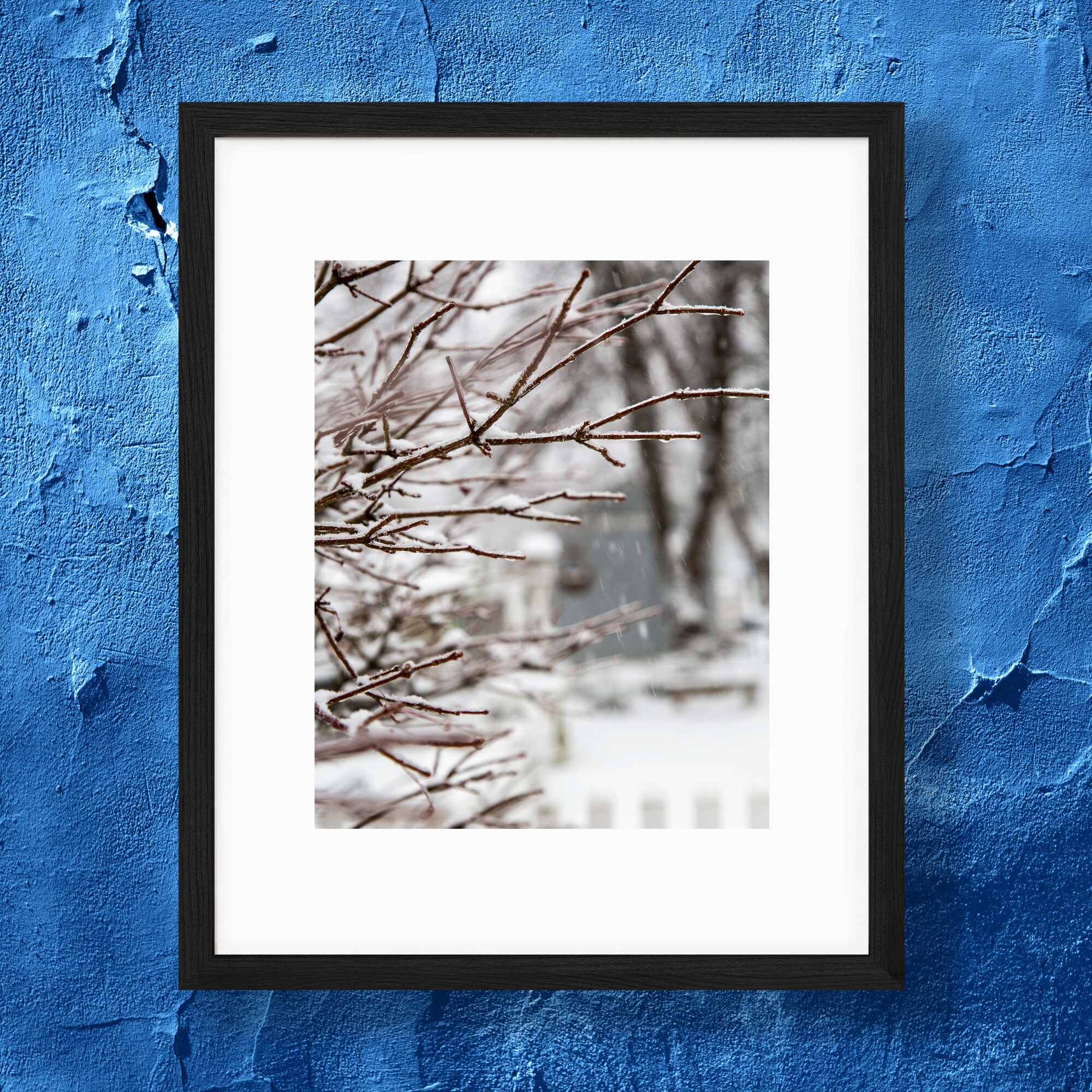 Snow Falling on Branches Print Winter Photography Western - Etsy