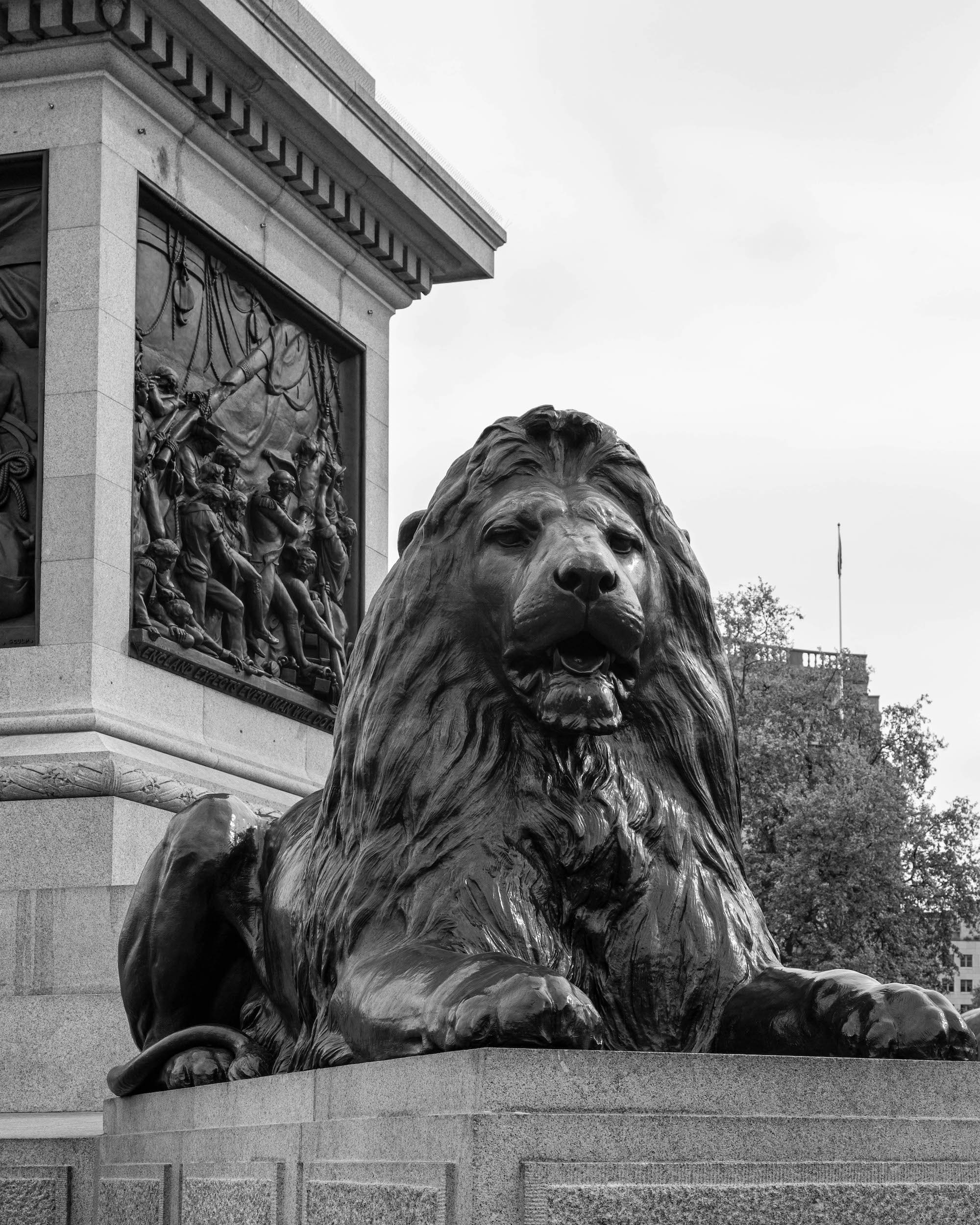 Trafalgar Square Lion Print Central London Photography - Etsy