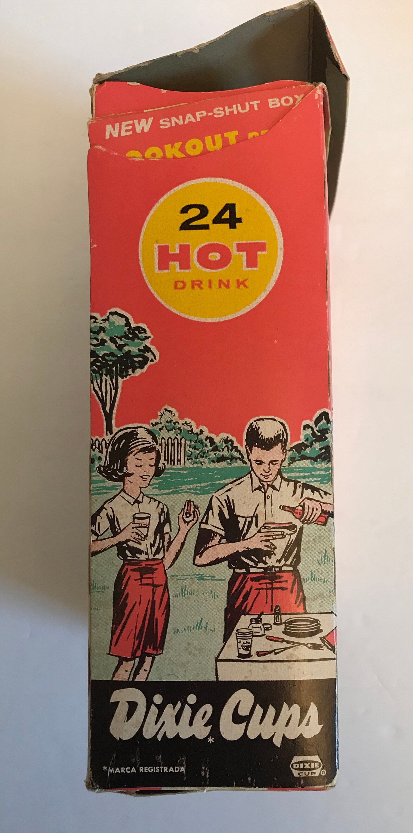 Vintage Dixie Cups 20 Cookout Design Vintage Picnic Pattern Comes With ...