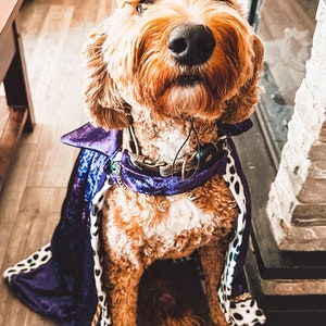 Regal Dog King Cape and Crown Set - Fit for Royalty! - Etsy