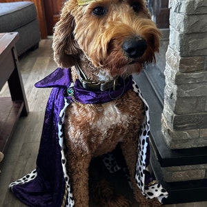 Regal Dog King Cape and Crown Set - Fit for Royalty! - Etsy