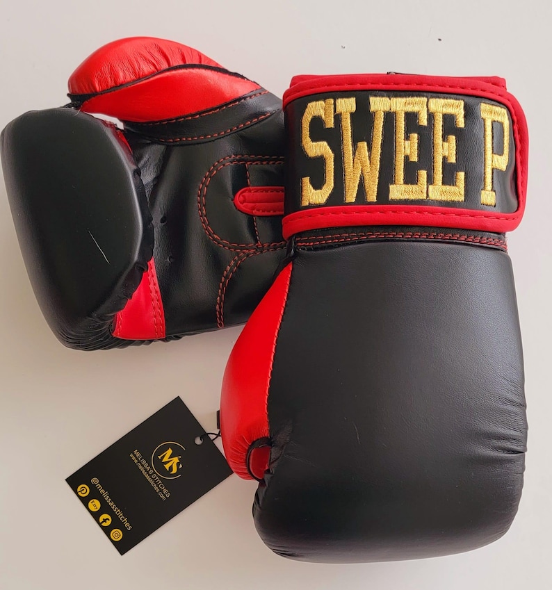 Custom Boxing Set – Youth & Adult Champion Robe, Shorts and Gloves ...