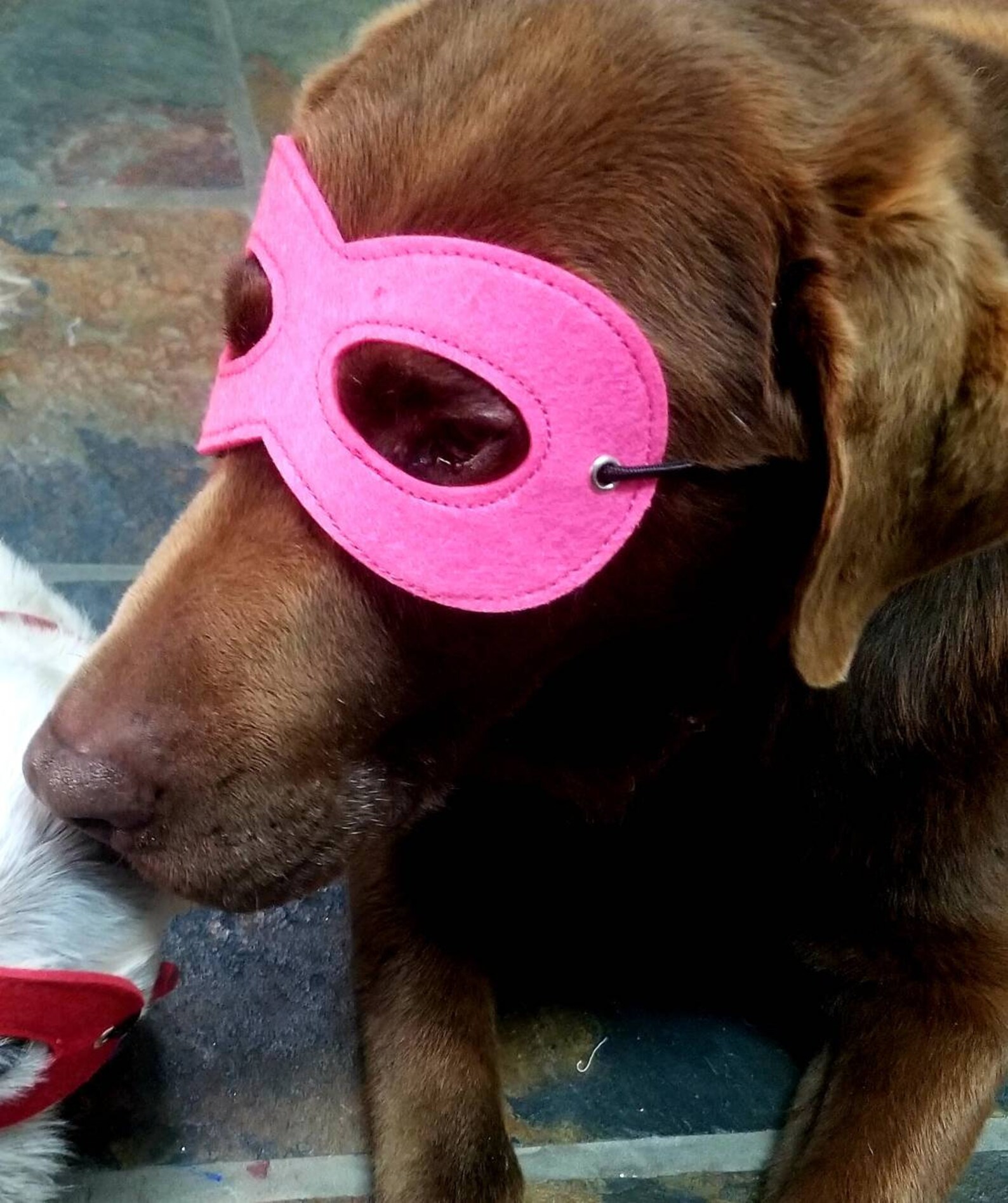 Dog Super Hero Felt Mask - Etsy