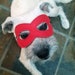 Dog Super Hero Felt Mask - Etsy