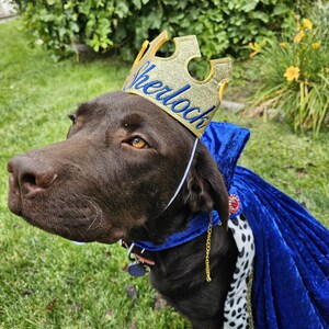 Regal Dog King Cape and Crown Set - Fit for Royalty! - Etsy