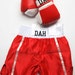 Kids Rocky Boxing Set Gloves and Shorts Personalized - Etsy