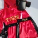 Mexican Youth Boxing Champion Set: Robe Shorts & Gloves - Etsy