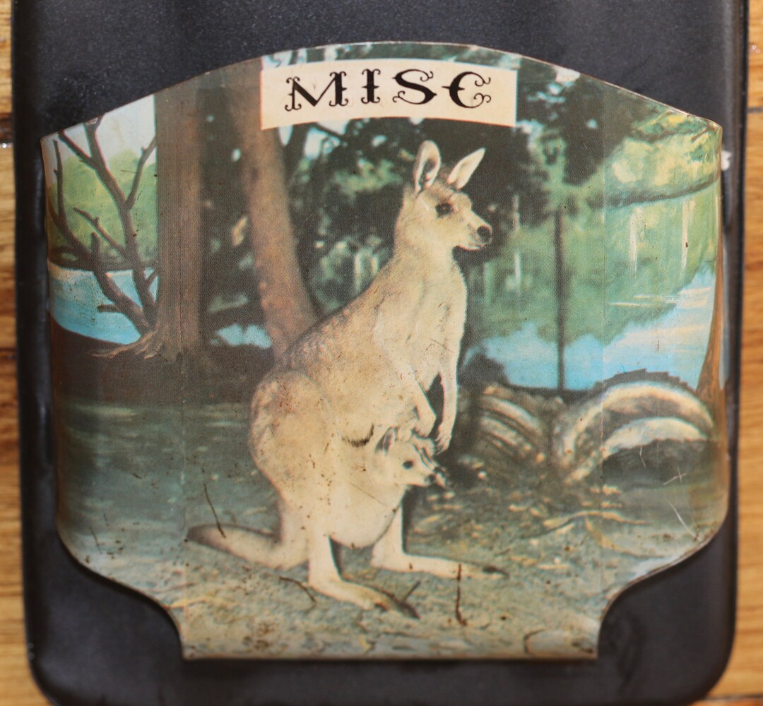 Australian Souvenir Australian Animals Mail Caddy Metal - Etsy