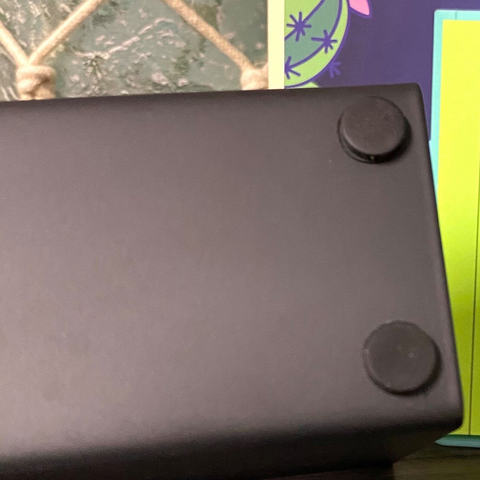 Desk Sorter Sand Dollar Desk Sorter Paper Holder Desk | Etsy