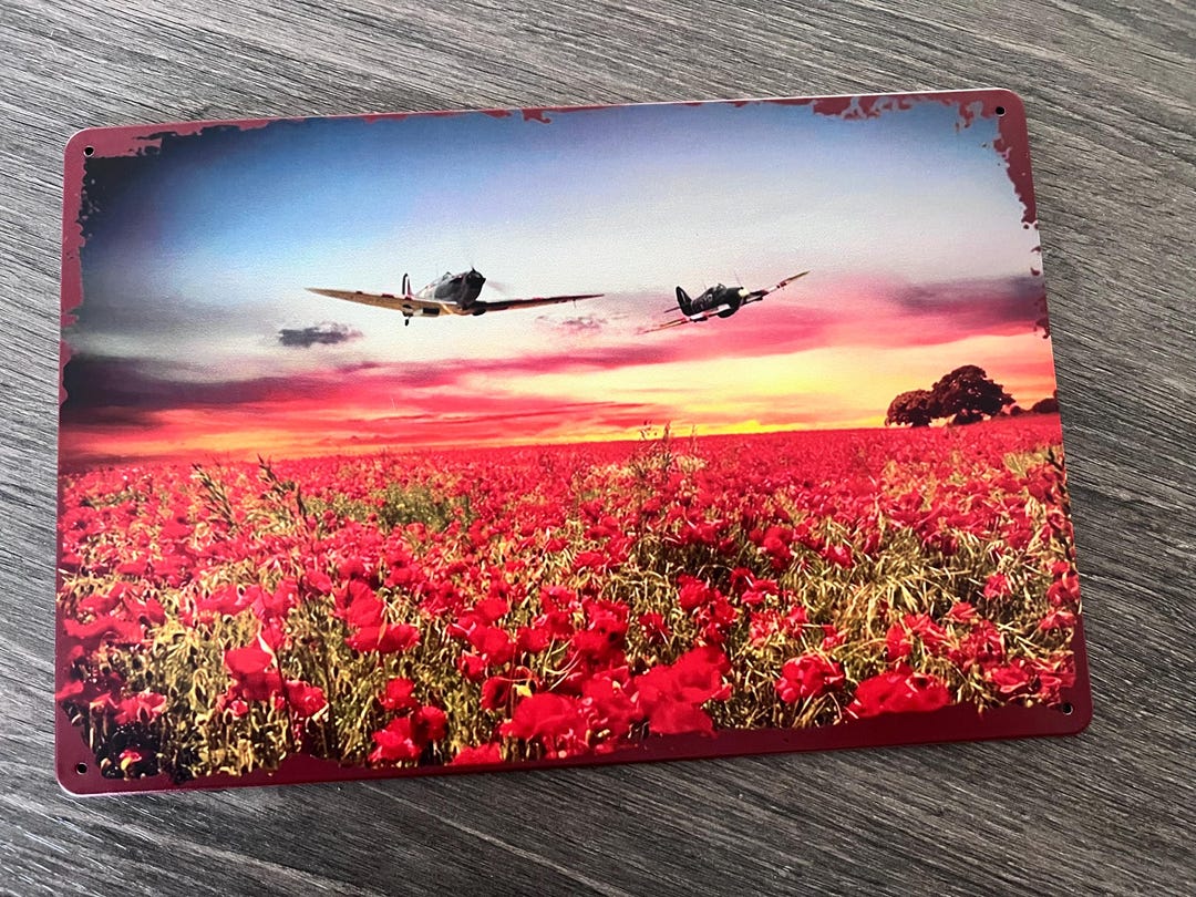 RAF Spitfire and Hurricane Over Poppies Aircraft Metal Wall Picture ...