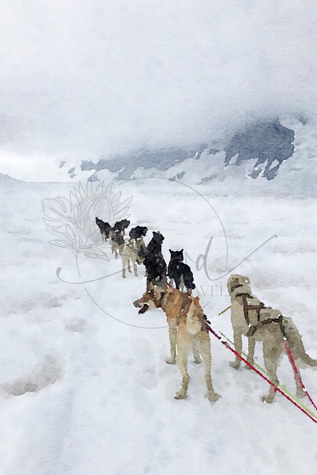 Watercolor Alaska Dog Sledding Art Digital Photo - Etsy