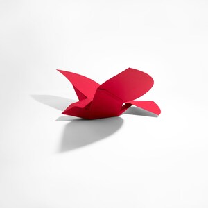 Wintercroft Bird Model, DIY Papercraft Templates - Etsy Australia