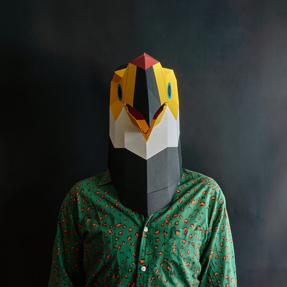Toucan Papercraft Mask Template PDF Pattern - Etsy UK