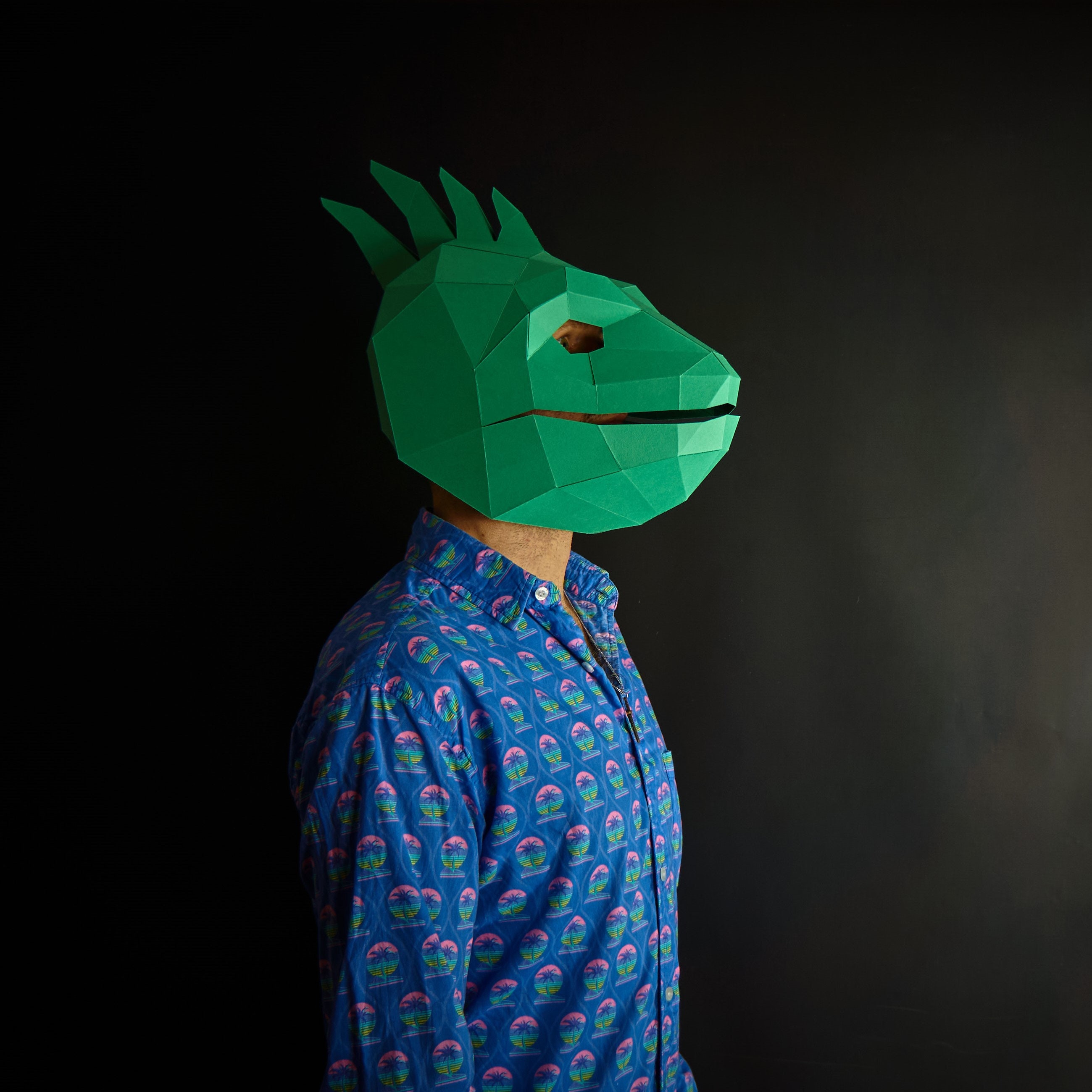 Iguana Mask Papercraft Template: DIY Low Poly Costume (PDF Pattern) - Etsy