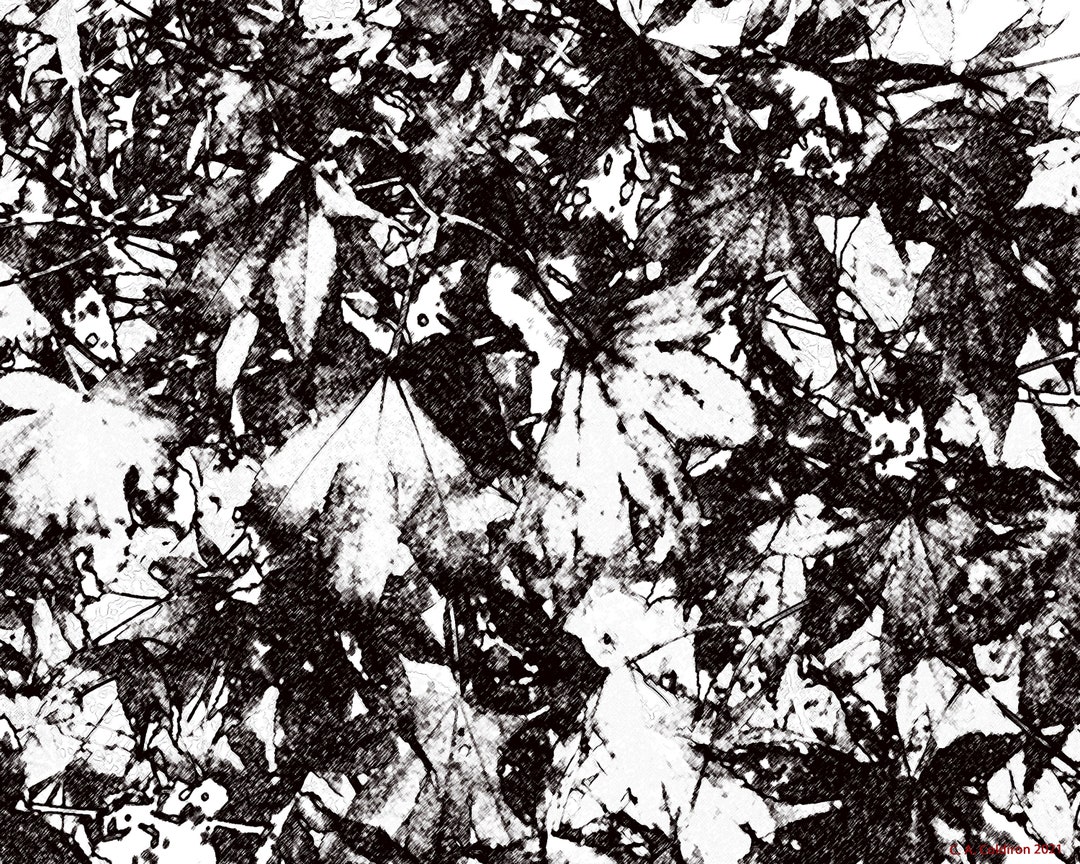 Digital Art Print-"black and White Autumn" - Etsy