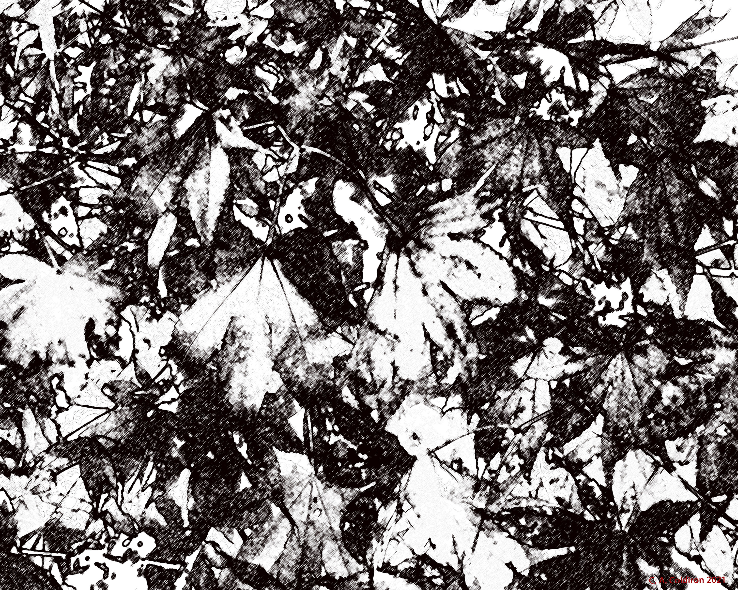 Digital Art Print-"black and White Autumn" - Etsy