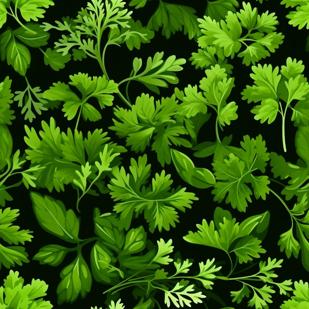 PNG Seamless Patterns Cilantro Digital Paper 5 Designs Graffiti Garden ...
