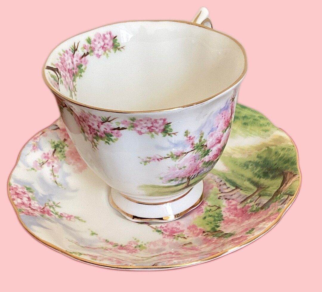 Vintage Royal Albert Blossom Time Tea Cup & Saucer: Spring Cottage Core ...