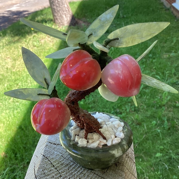 Mini Chinese Tree - Etsy