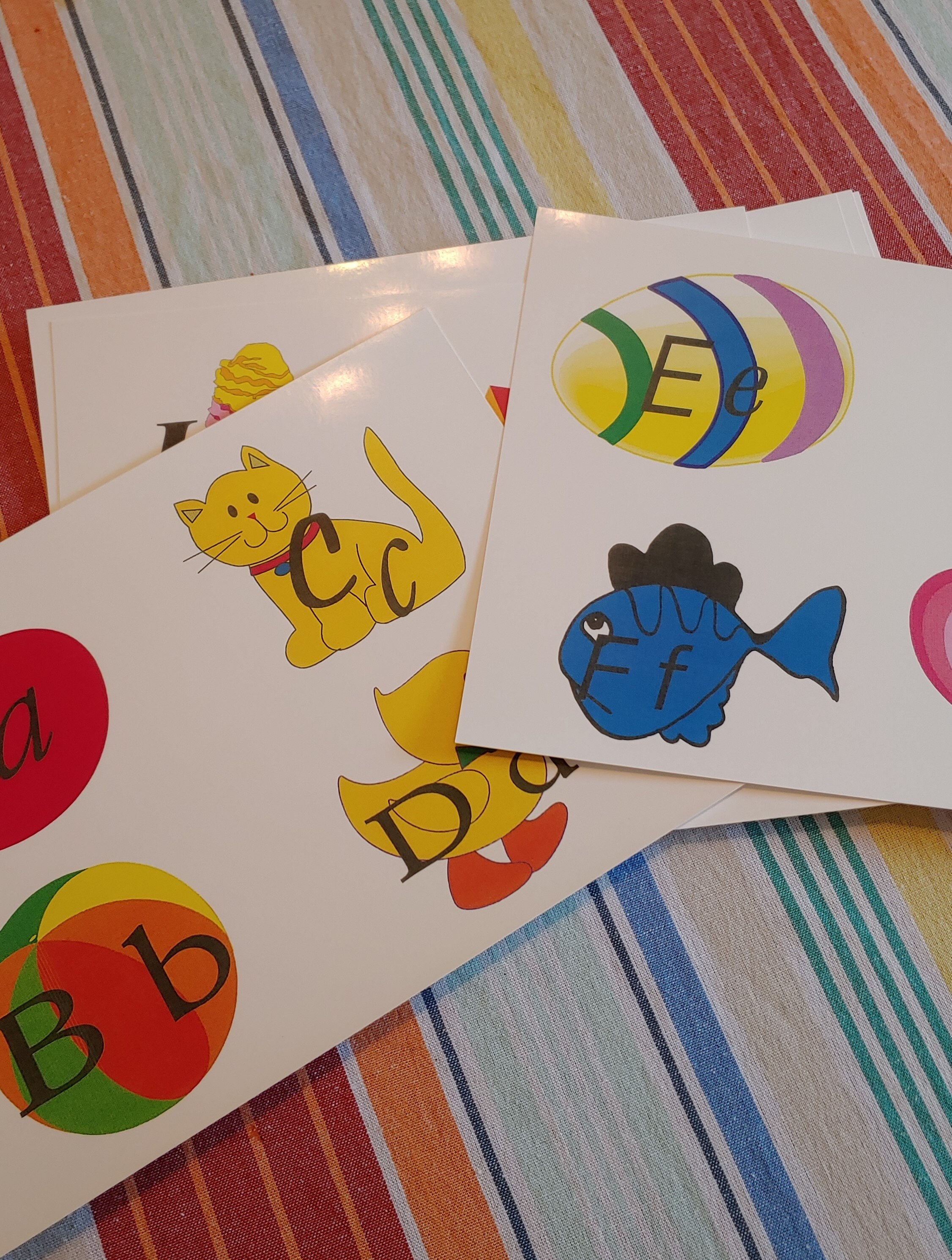 The Write Start Program Computer USB Edition Phonics and Beyond Back to ...