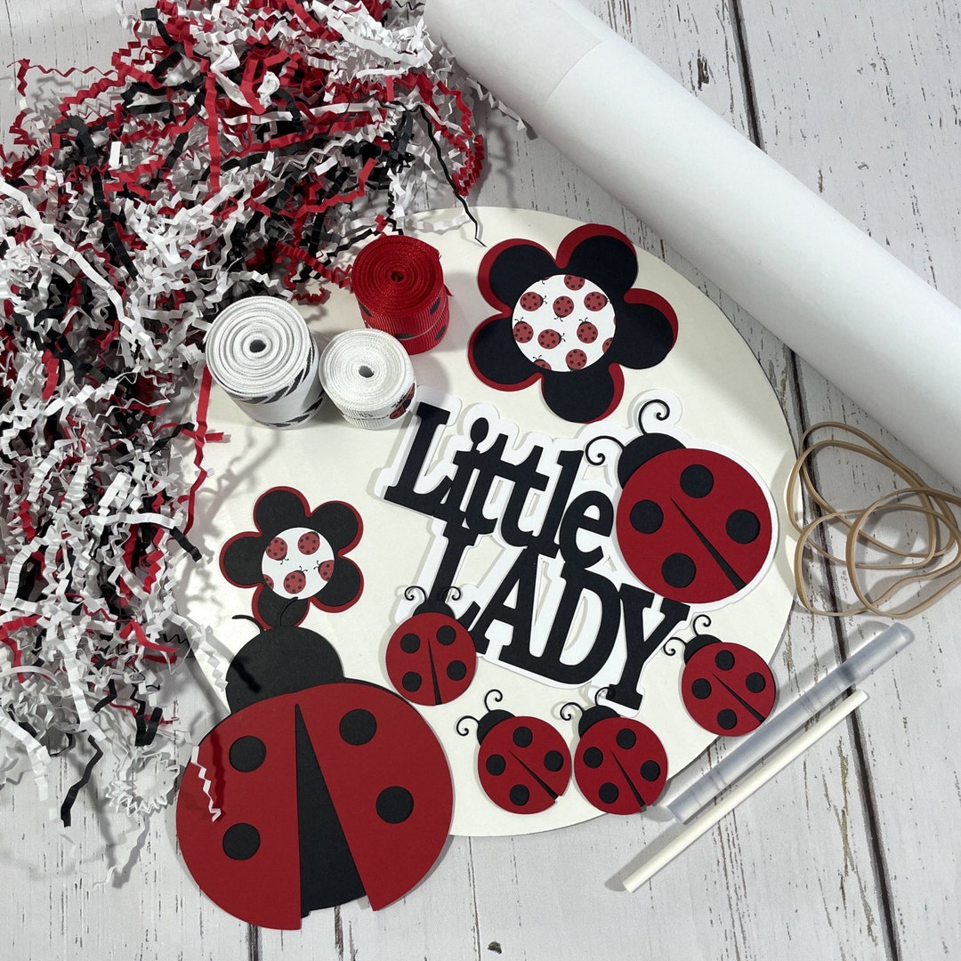 Little Ladybug Diaper Cake Kit, DIY Diaper Cake Centerpiece - Etsy