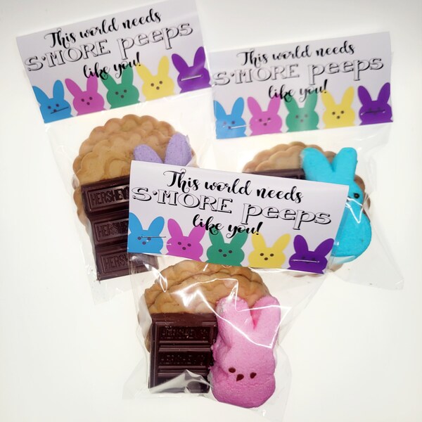 Smores Treat Bag - Etsy