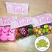 Pink Easter Bunny Treat Bag Topper: Spring Party Favor (PDF & PNG ...