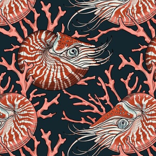 Nautilus Fabric - Etsy
