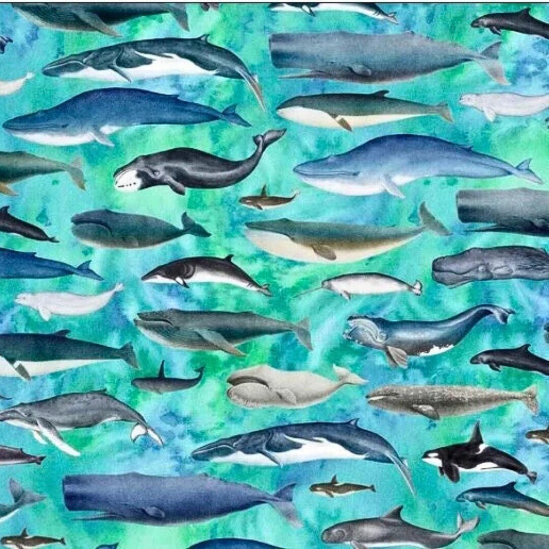 Whale Fabric, Sirens Call Green by QT Fabrics, Last 31 Inches - Etsy