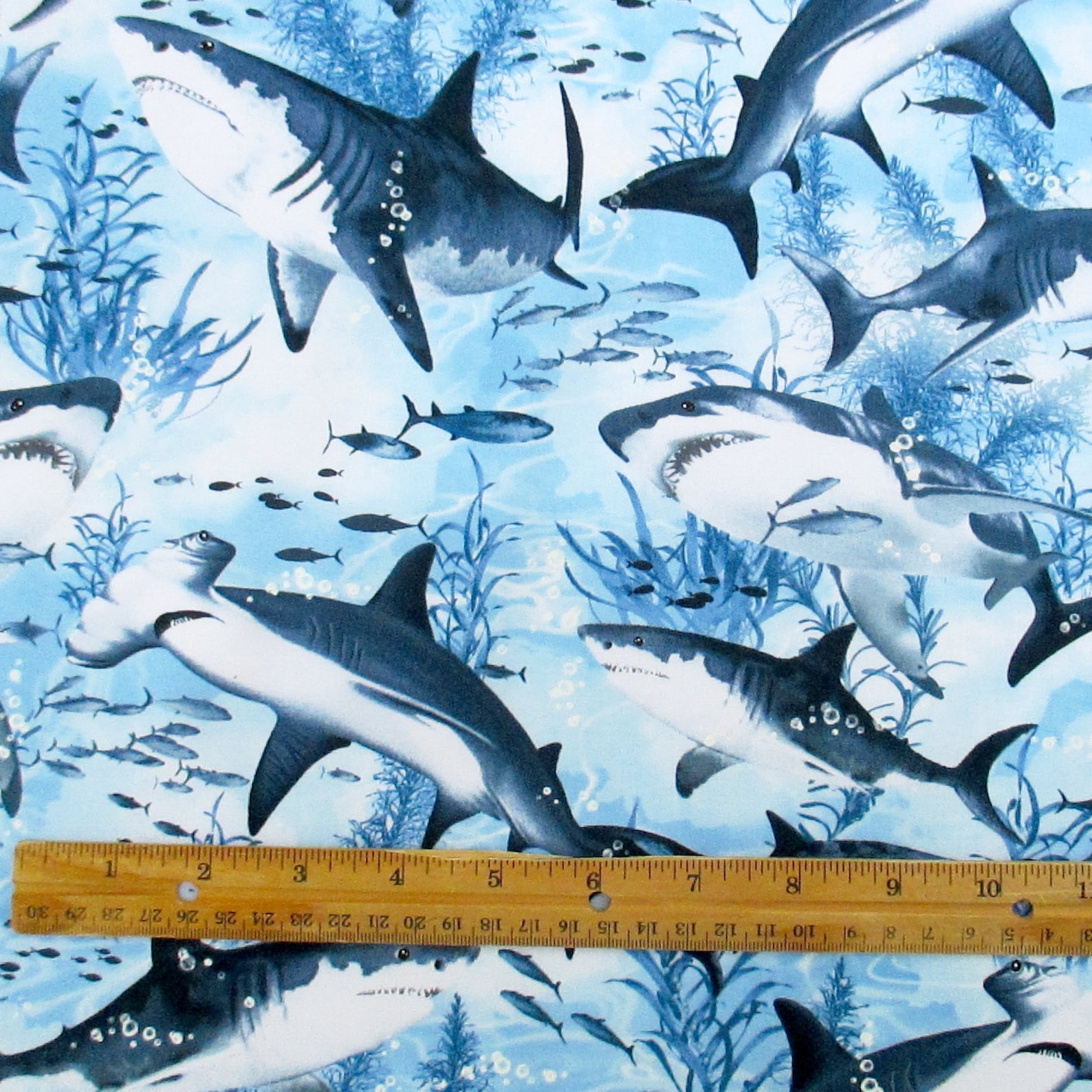 Shark Fabric Swimming Sharks Aquarium by Timeless Treasures - Etsy