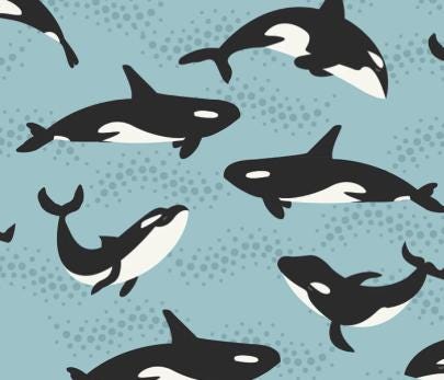 Whale Fabric, Alaska Orca Whales on Aqua by Riley Blake Designs, by the ...