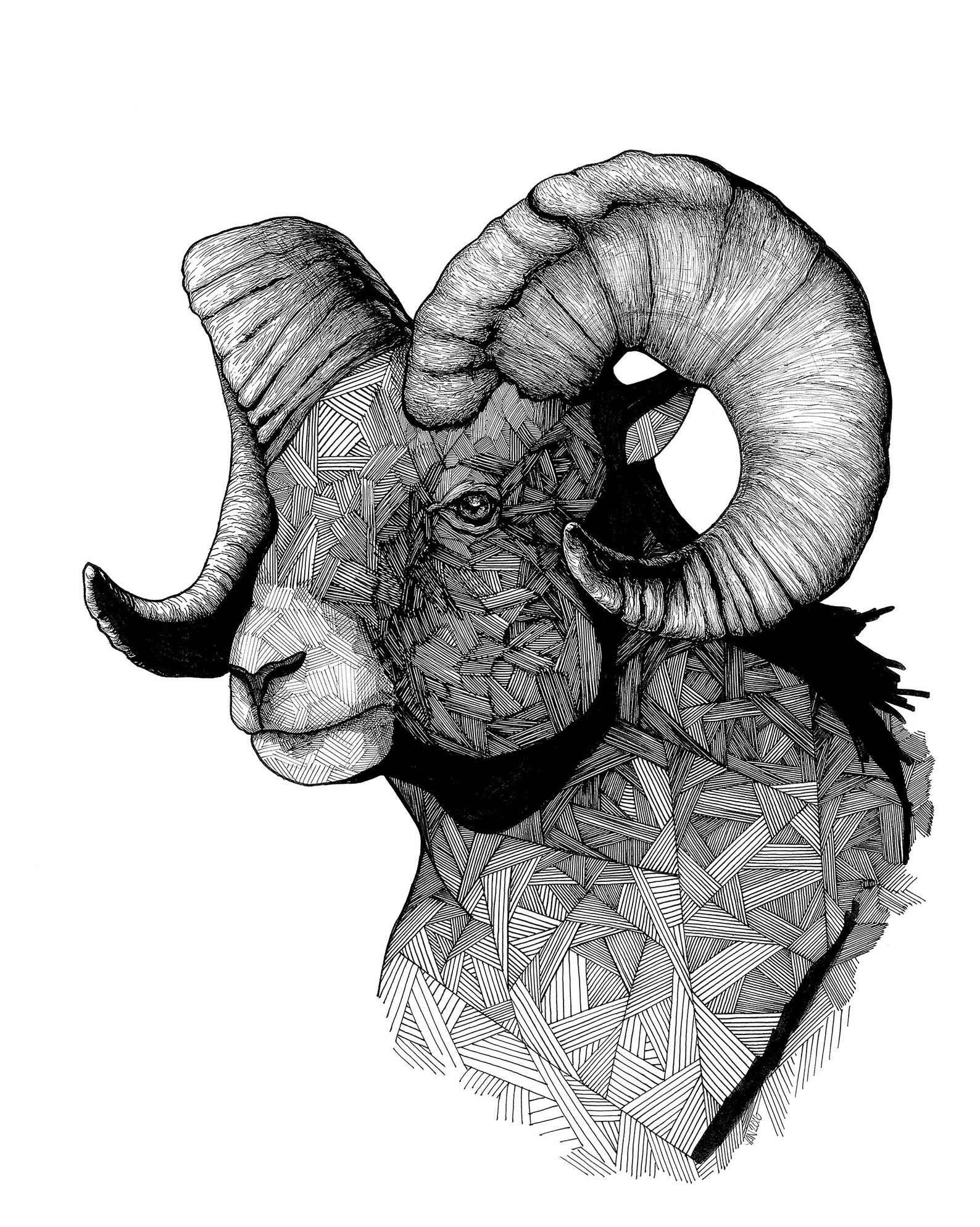 The Ram Ram Art Aries Art Art Prints Rams Big Horned - Etsy