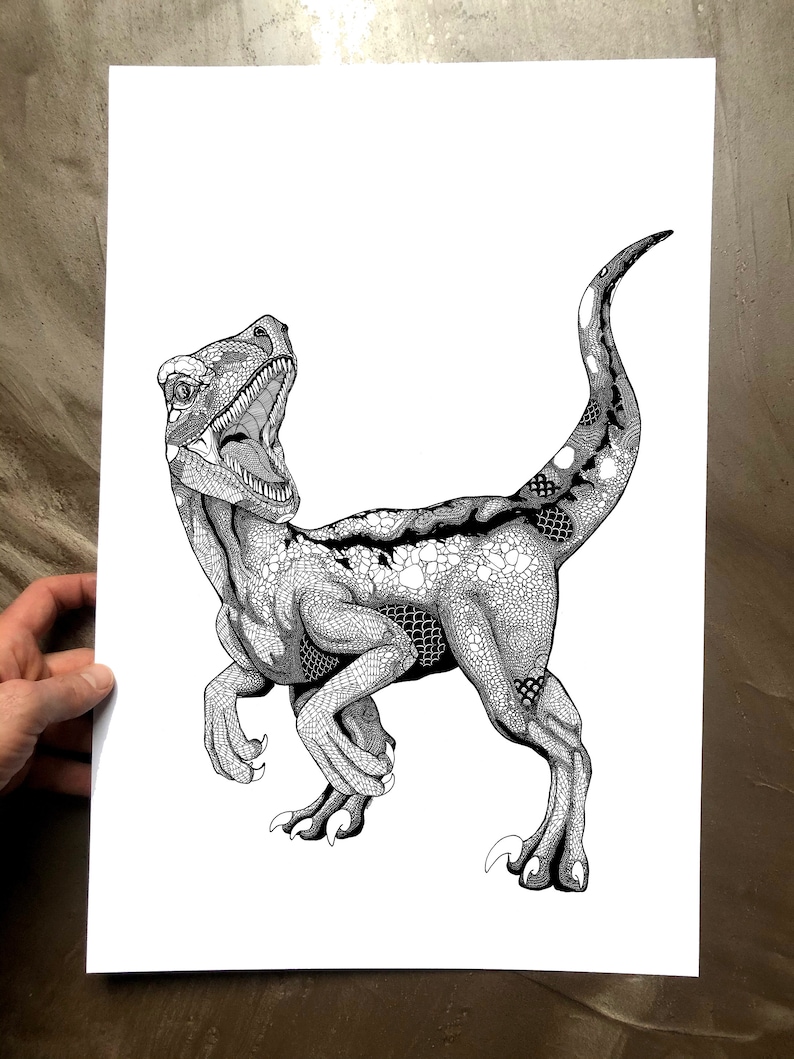 Raptor Raptors Prints Raptor Art Raptor Drawings | Etsy