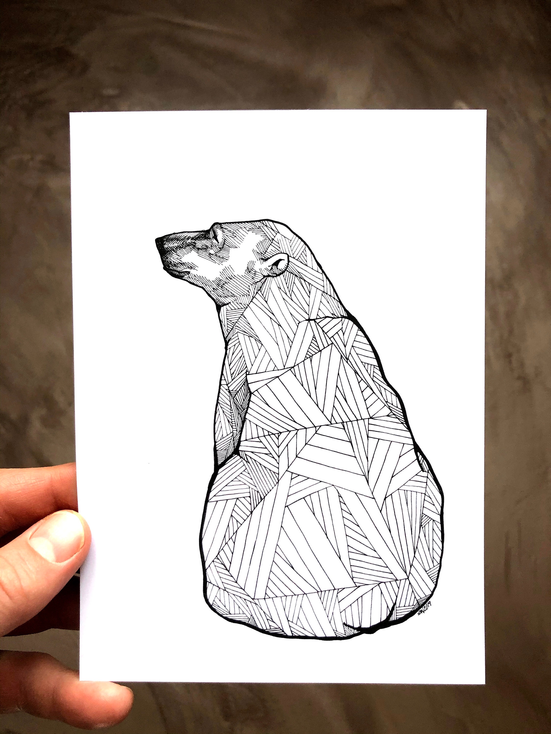 Polar Bear Art Polar Bear Polar Bear Drawings Art Prints | Etsy