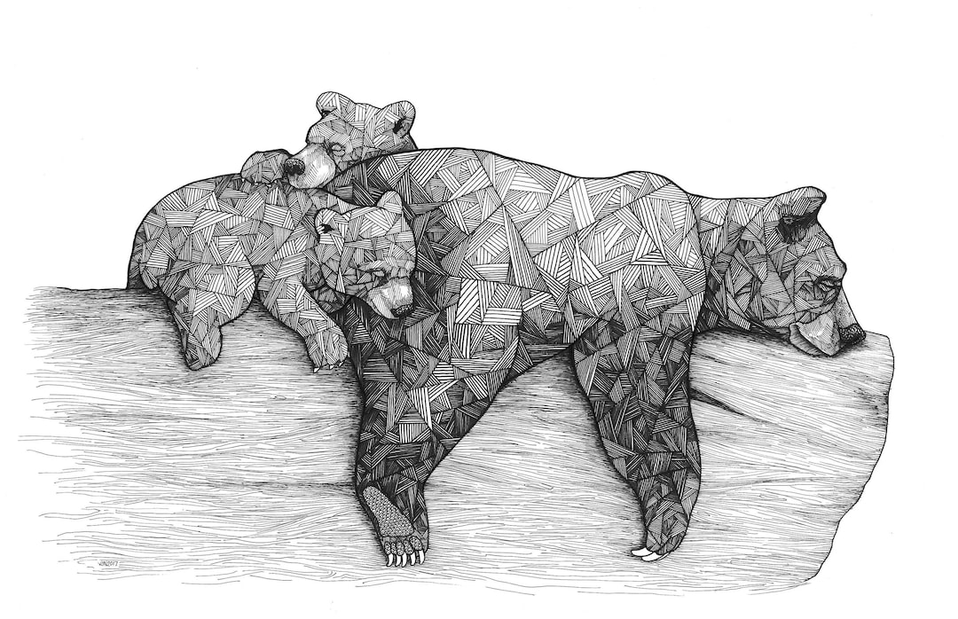 Bear Snooze - Bear Art - Bear Prints - Bear Drawings - Art Prints ...