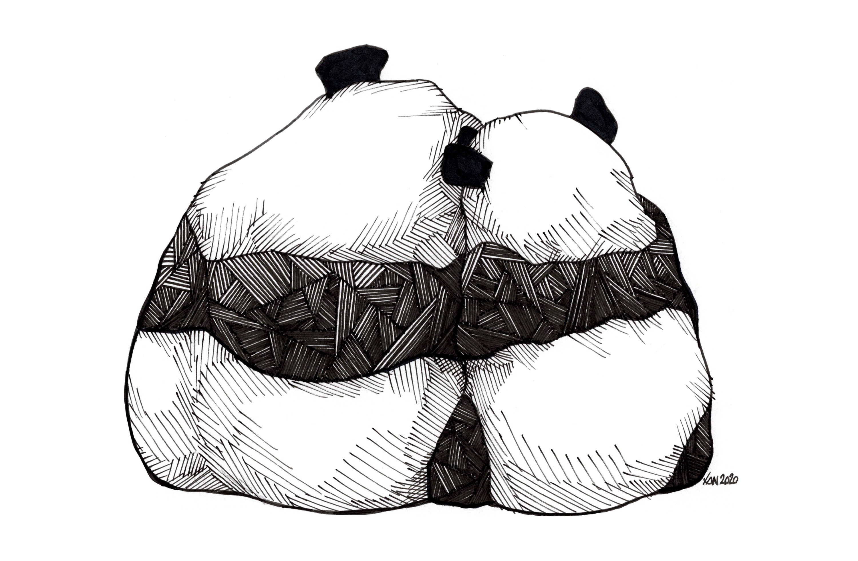 Panda Art Panda Bears Panda Drawings Panda Family 5x7 - Etsy Canada