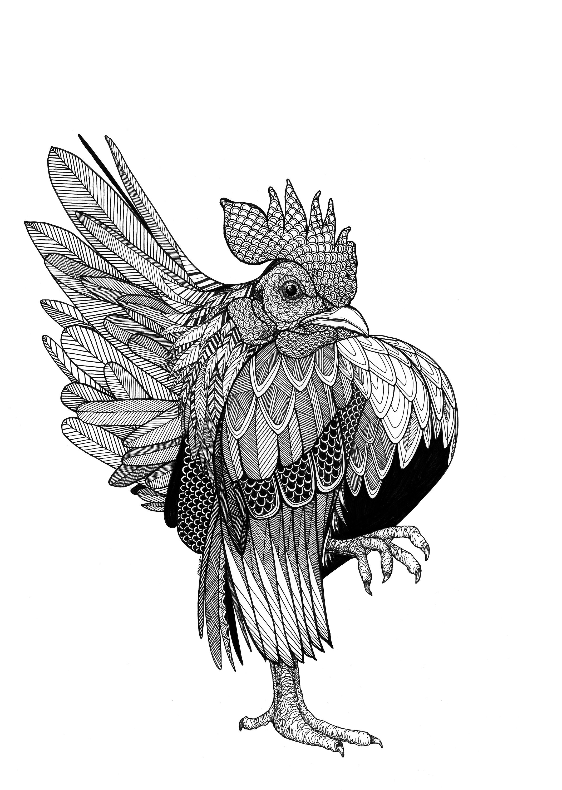 Hahn Kunst 5x7 Hahn Druck Hahn Zeichnung Hahn des - Etsy