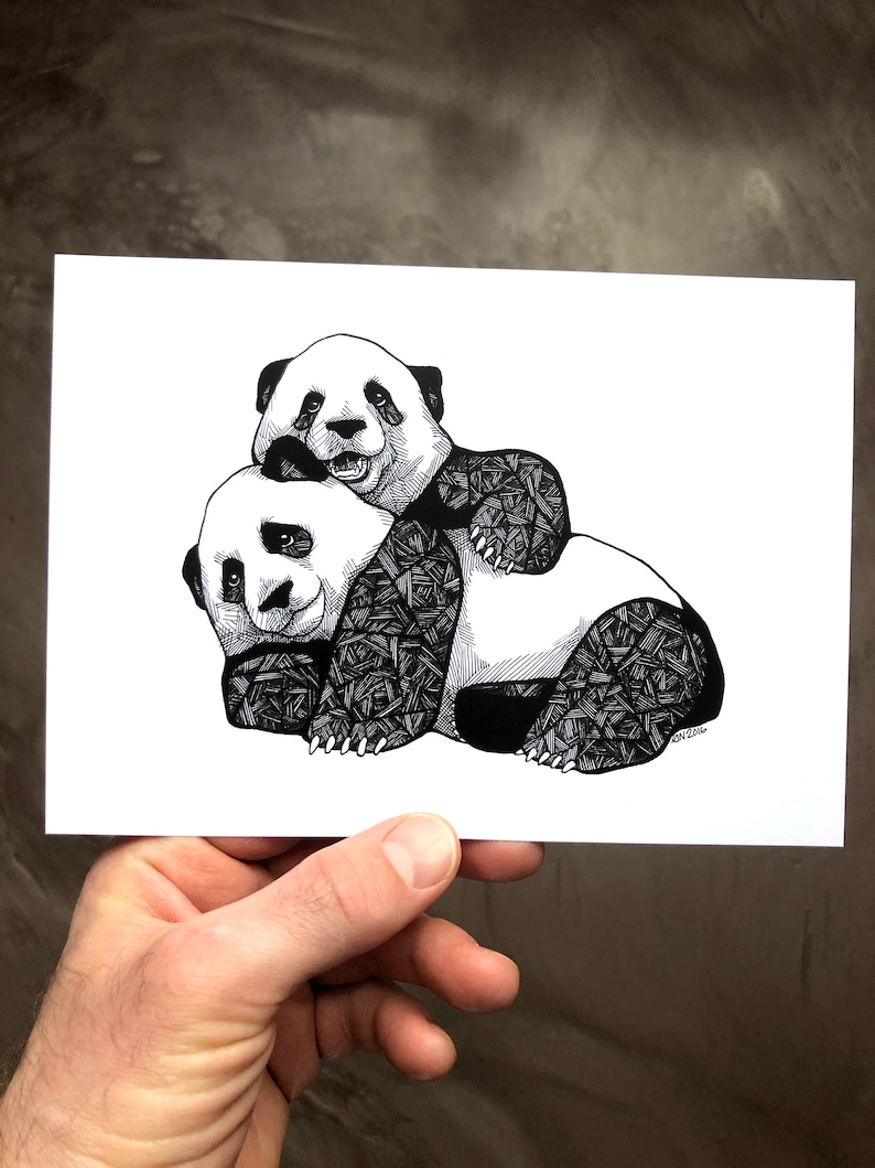 Panda Art Panda Drawings Panda Prints Panda Cubs Baby - Etsy