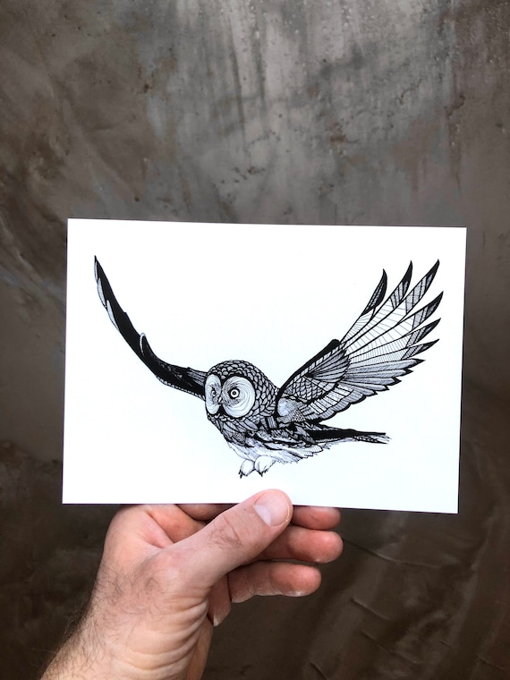 Realistic Flying Owl Drawing