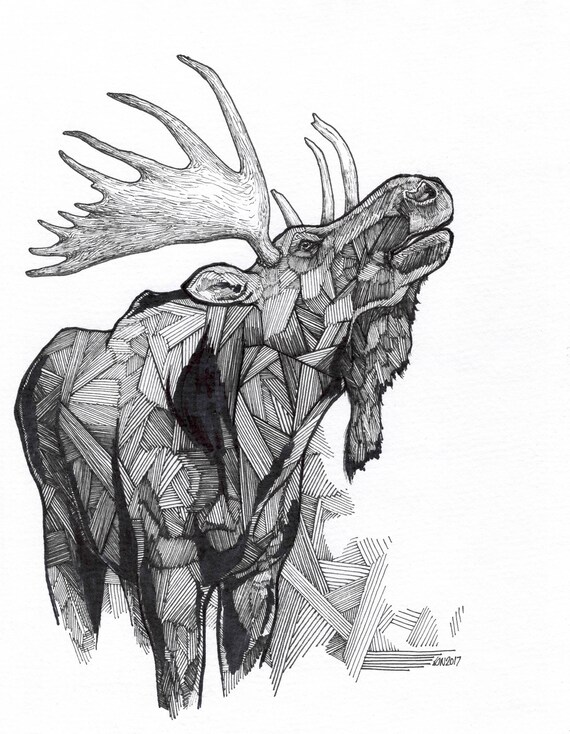 Canadian Moose Drawing