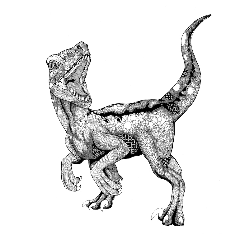 Toronto Raptors Svg - Etsy