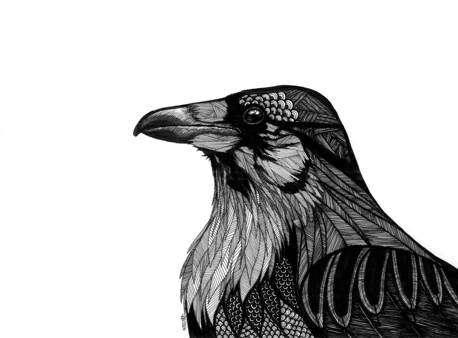 The Raven Raven Print Raven Art Raven Drawing Bird Art - Etsy Singapore