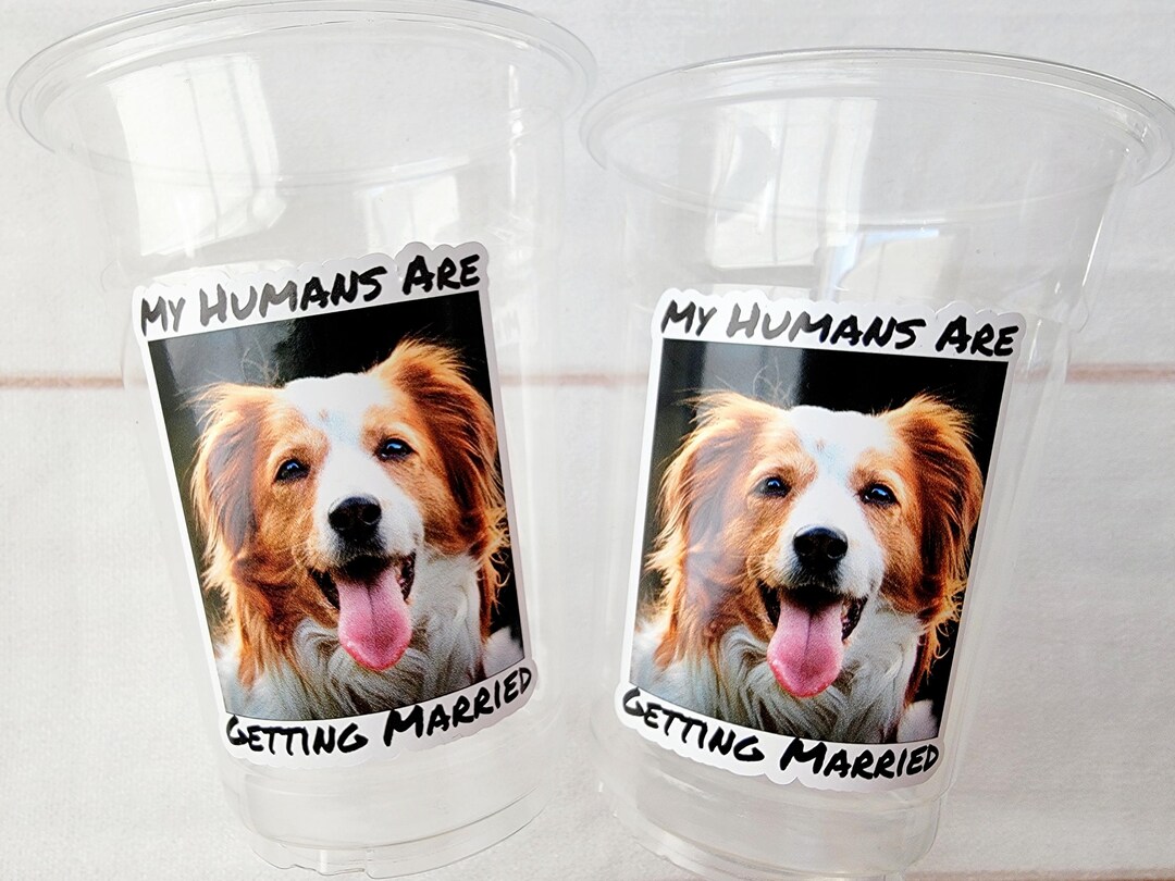 Personalized Dog Face Cups, My Humans Are Getting Married Cup ...
