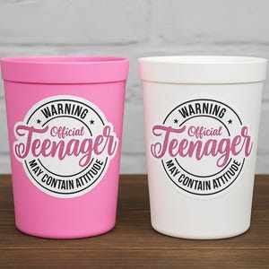 13th Birthday Party Cups Warning Official Teenager Party Cups 13th ...