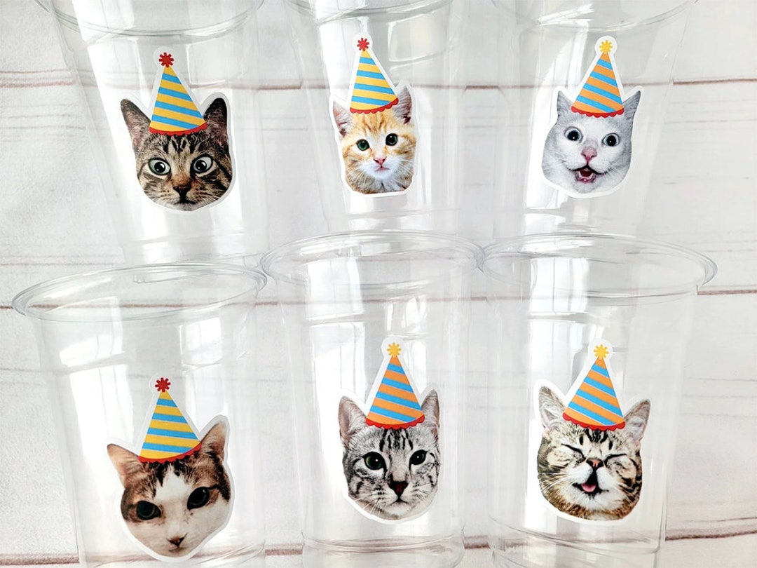 Cat Party Cups, Cat Birthday Cups, Cat Party, Cat Treat Cups, Cat Party ...