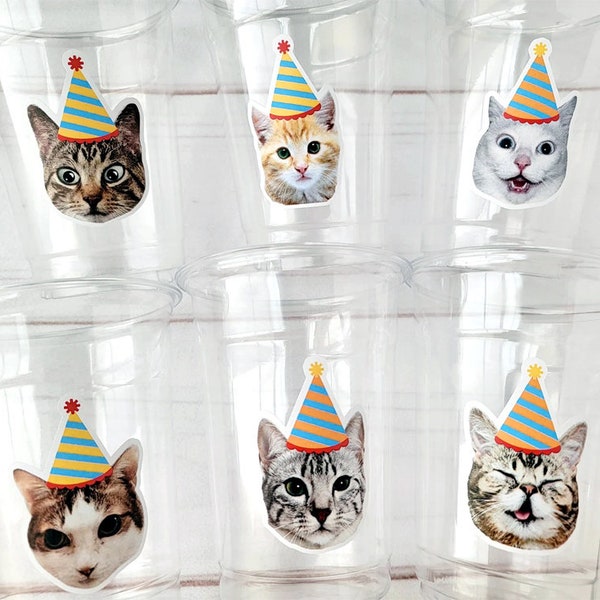 Cat Cup - Etsy
