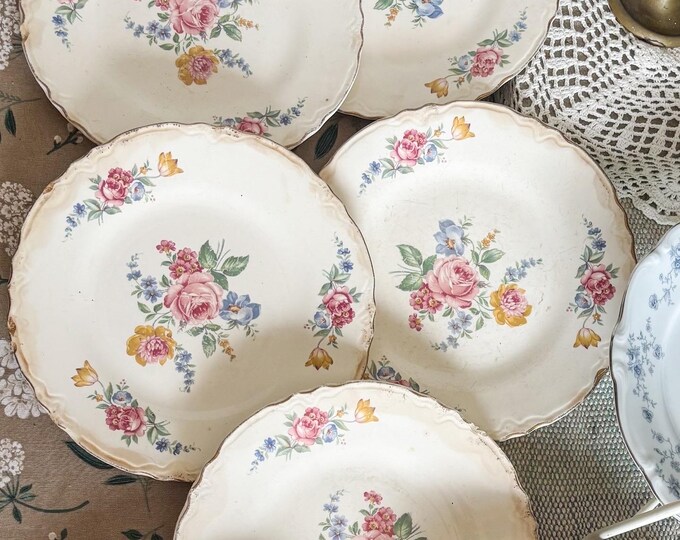 DISTRESSED Hazel Dinner Plates Shabby Chic Discolored Stained Crazed ...